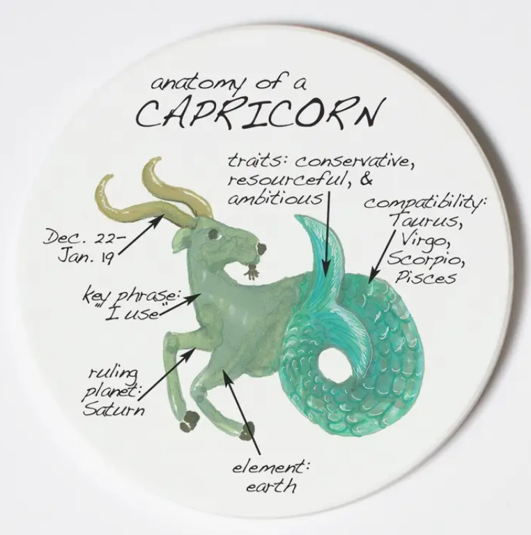 Capricorn Zodiac Anatomy Coasters – Kuantum Life
