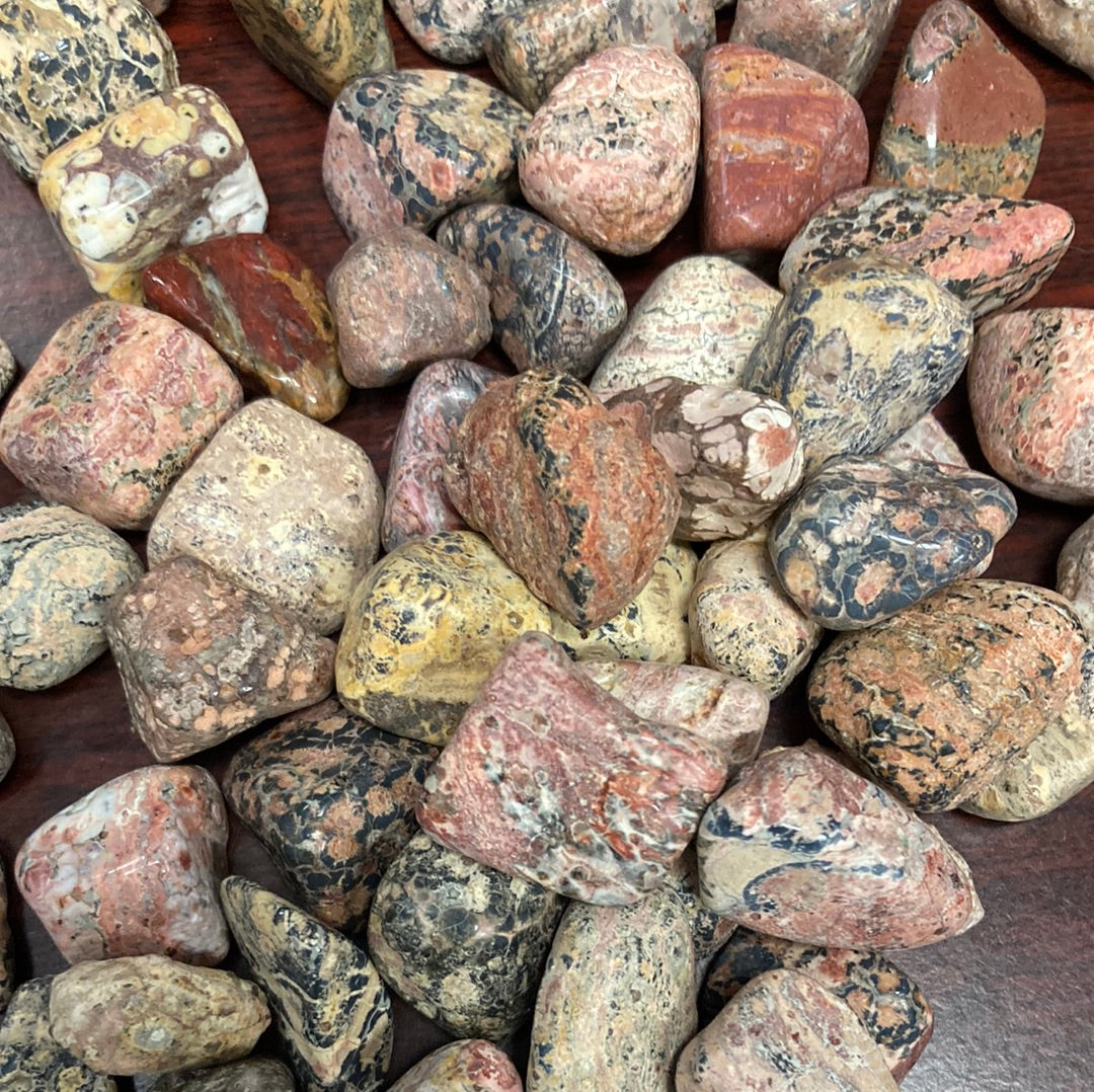 Leopard Skin Jasper Tumbled – Kuantum Life